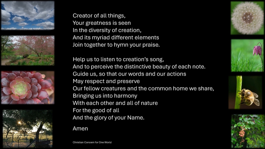 Prayer for the Diversity of Creation - Christian Concern for One World